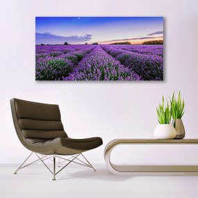 akrylový obraz Louka Květiny Příroda Rostlina 120x60 cm