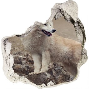 Wallmuralia Díra 3D fototapeta na stěnu Bílý vlk na skále 75x75 cm