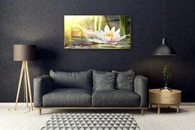 Obraz na skle Květ Vodní Lilie 125x50 cm