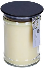 Bridgewater Candle Company Vonná svíčka Laundry Line velká-524g