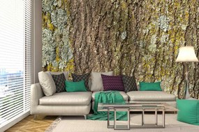 DIMEX | Samolepicí vliesová fototapeta na zeď Textura kůry stromu MA-5-2338 | 375 x 250 cm | zelená, žlutá, hnědá