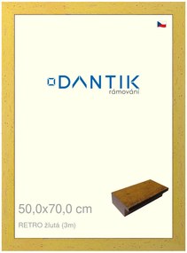 DANTIK rámeček 50x70 | RETRO žlutá (Plexi Čiré)