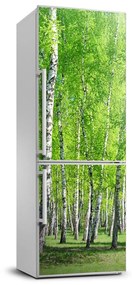 Wallmuralia Nálepka na ledničku samolepící Břízový les 60x180 cm
