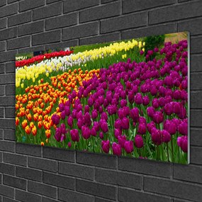 Obraz na skle Tulipány Květiny 100x50 cm