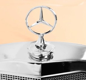 Ramiz Elektrické autíčko Mercedes Benz 300S, 2,4GHz, EVA kola a FM rádio červené