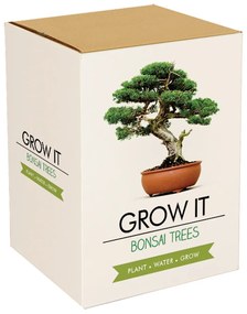 GiftRepublic Grow it - Bonsai
