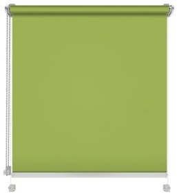 Gario Roleta Mini Standard Strukturovaná Jarní zelená Výška: 150 cm, Šířka: 77 cm