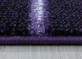 Koberce Breno Kusový koberec COSTA 3521 Lila, Fialová, Vícebarevné, 240 x 340 cm