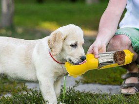 Verk Group Napáječka pro psa kočku miska s krmítkem 300ml