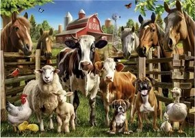 EDUCA Puzzle Kamarádi ze statku / 500 dílků / od 11 let