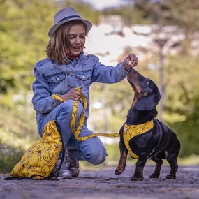 ReBruns Kšíry pro psy Opice - L