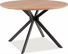 CZ Nábytkář - Kasvo Jídelní stůl DASTER 120 (S) kulatý | Varianta: dub / černé nohy