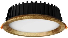 APLED - LED Podhledové RONDO WOODLINE LED/6W/230V 3000K pr. 15 cm jasan masiv