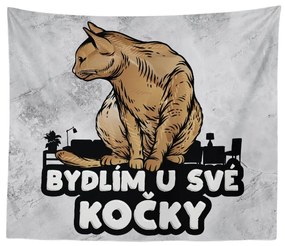 Sablio Deka Bydlím u své kočky: 150x120 cm