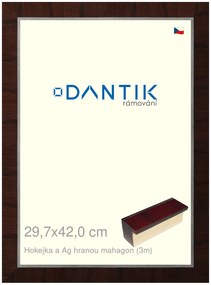 DANTIK rámeček 29,7x42 | Hokejka a Ag hranou mahagon (Plexi Čiré)