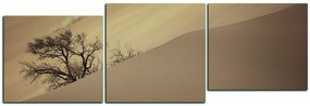 Obraz na plátně - Červené písečné duny - panoráma 5133FD (120x40 cm)