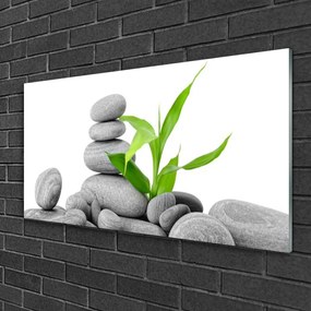 Obraz na skle Kameny Listy Umění 120x60 cm