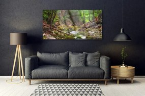 akrylový obraz Les Mech Příroda 120x60 cm