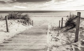 Fototapeta - Pláž (254x184 cm)