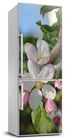 Wallmuralia Samolepící nálepka na ledničku Květy višně 60x180 cm