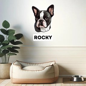 PIPPER. Nálepka Bostonský teriér Velikost: 60cm