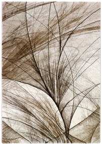 Medipa (Merinos), Kusový koberec Diamond 24153/760, 140x200, hnědá, kancelář