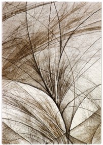 Medipa (Merinos), Kusový koberec Diamond 24153/760, 80x150, hnědá, kancelář