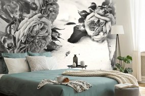 Tapeta růže v rozkvětu černobílé - 225x150 cm