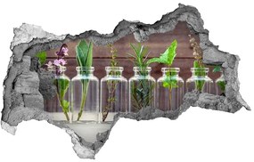Wallmuralia Samolepící nálepka Rostliny ve sklenicích 95x73 cm