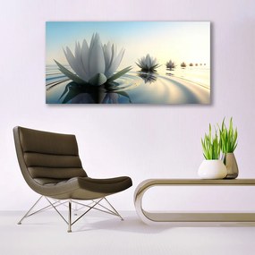 Plexisklo-obraz Vodní Lilie Květiny Rybník 120x60 cm