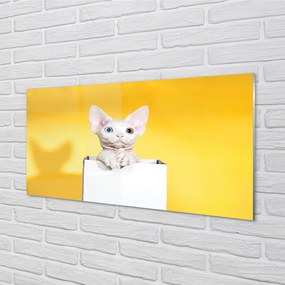 akrylový obraz sedící kočka 140x70 cm