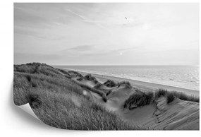 Fototapeta Dune Sunrise Black &amp;amp; White Omyvatelný vlies 315x210