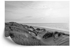 Fototapeta Dune Sunrise Black &amp;amp; White Omyvatelný vlies 368x280