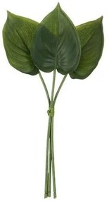 3 okrasné listy Philodendron I - 30cm