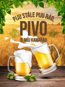 Postershop Plechová cedule: Pivo je můj kamarád - 30x40 cm