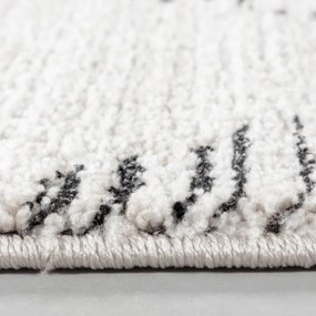 Vopi | Kusový koberec Taznaxt 5108 cream - 200 x 290 cm