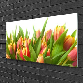 Obraz na skle Tulipány Květiny Rostlina 125x50 cm