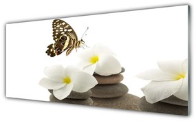 akrylový obraz Motýl Květ Kameny Rostlina 125x50 cm