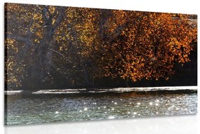 Obraz odraz listí v jezeře - 90x60 cm