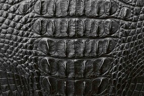 DIMEX | Vliesová fototapeta Tmavá krokodýlí kůže MS-5-2583 | 375 x 250 cm | černá, šedá
