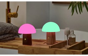 Bílá/v tmavě přírodní barvě LED stolní lampa (výška 12,5 cm) Alice Mushroom – Gingko