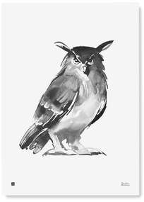 Plakát Eagle Owl 50x70