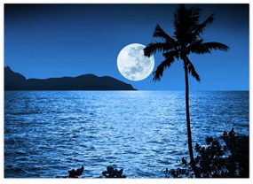Obraz - Měsíc nad mořskou hladinou (70x50 cm)