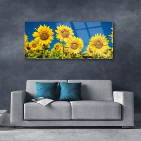 akrylový obraz Slunečníce Rostlina 125x50 cm