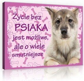 Obraz 100x75 Štěňátko pes domácí zvíře růžové kosti nápis sentimentální