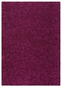 Nádherný fialový koberec Shaggy Šířka: 140 cm | Délka: 190 cm