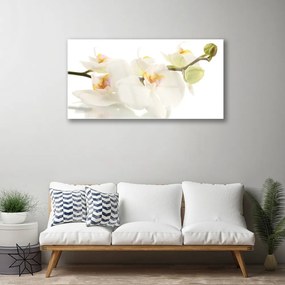 Obraz na skle Květiny Rostlina Příroda 125x50 cm