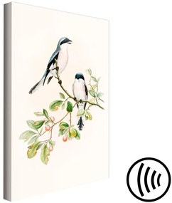Obraz Vrabec černokrký - ilustrace dvojice ptáků sedících na větvi
