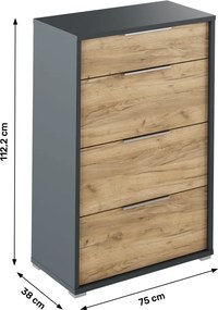 Komoda s šuplíky, grafit / dub artisan, RIOMA NEW TYP 22