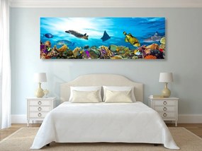 Obraz korálový útes s rybkami a želvami - 135x45 cm
